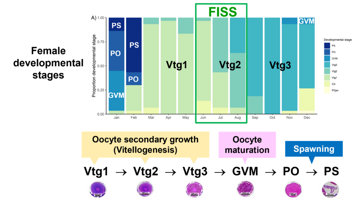 Reproductive Assessment - IPHC