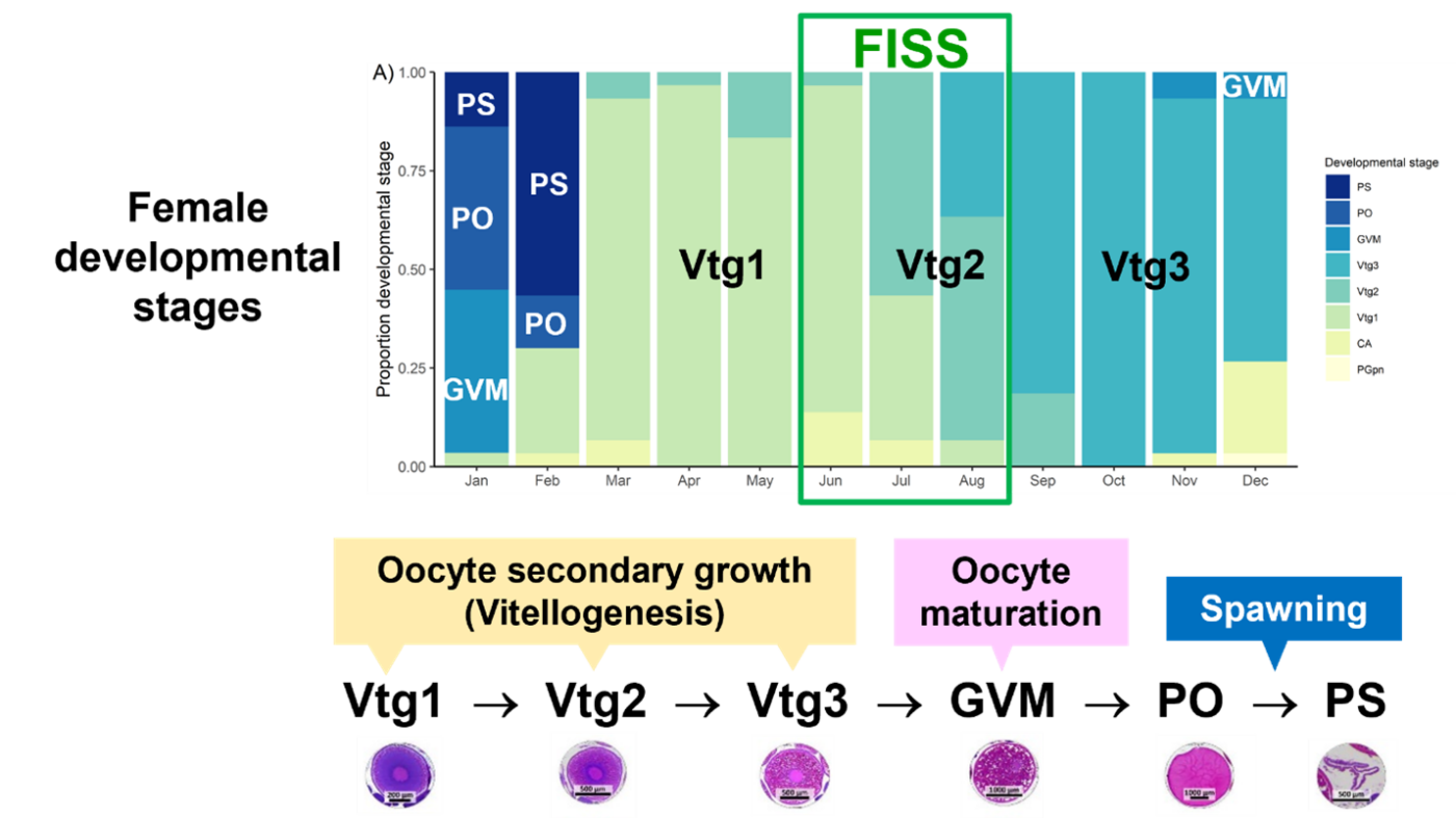 Reproductive Assessment - IPHC