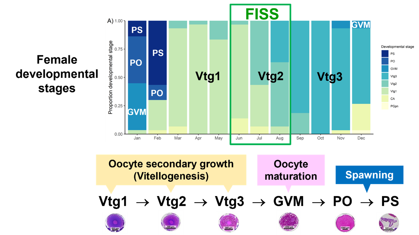 Reproductive Assessment - IPHC