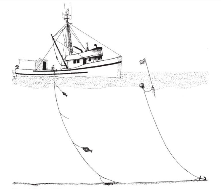 Commercial Fisheries - IPHC